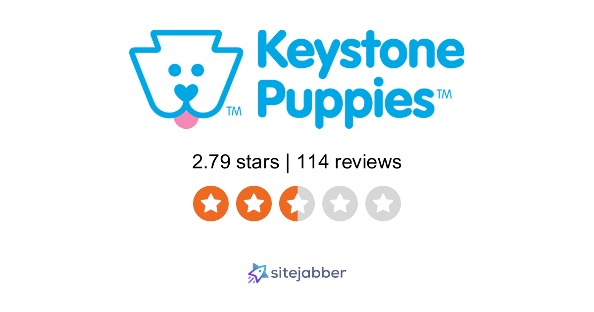 Keystone Puppies Reviews - Read 114 Customer Reviews of Keystone ...